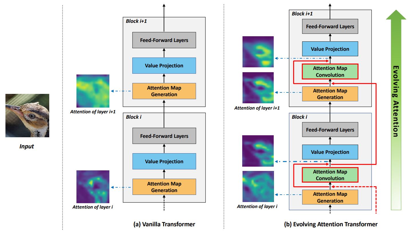 Evolving attention with residual convolutions | Multimedia Semantic Analytics Lab